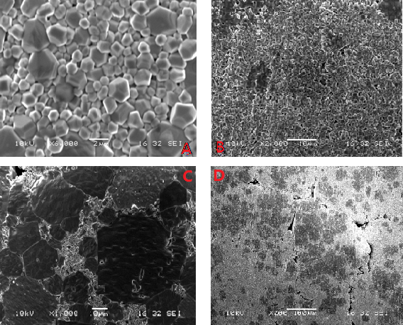 SEM实验报告 - 范文118